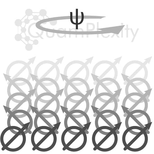 Quantum Theory and Complex Networks – www.DeepQuantum.AI